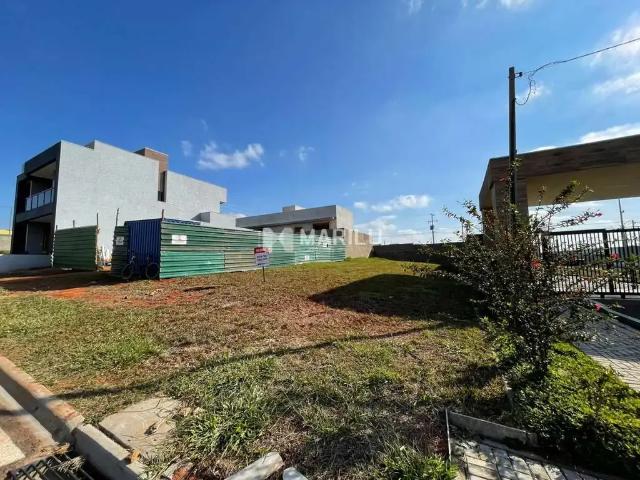 Terreno / Lote para Venda em Ponta Grossa/PR Contorno