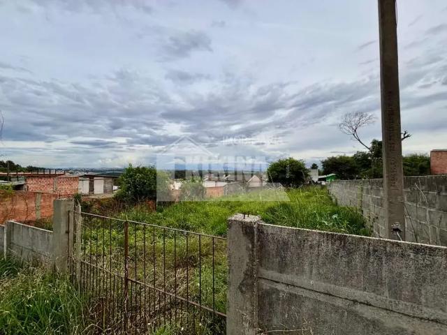 Terreno / Lote para Venda em Ponta Grossa/PR Contorno
