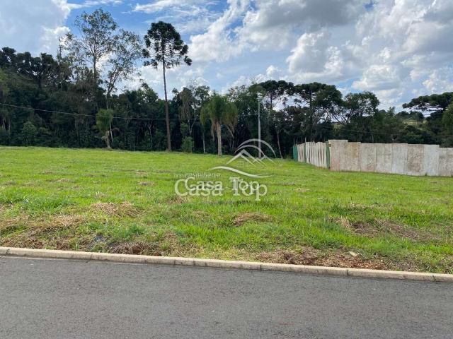 Terreno / Lote para Venda em Ponta Grossa/PR Contorno