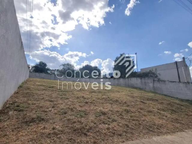 Terreno / Lote para Venda em Ponta Grossa/PR Contorno