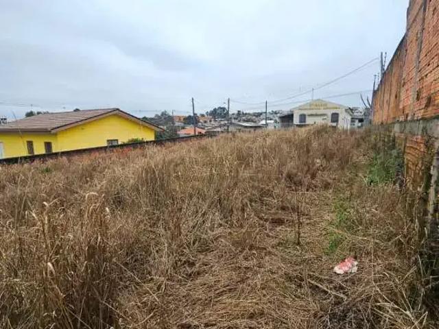 Terreno / Lote para Venda em Ponta Grossa/PR Contorno