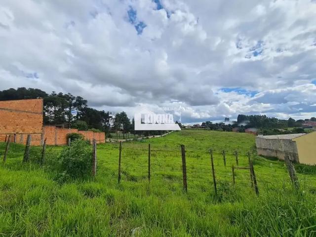 Terreno / Lote para Venda em Ponta Grossa/PR Contorno