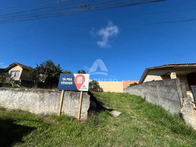 Terreno / Lote para Venda em Ponta Grossa/PR Contorno