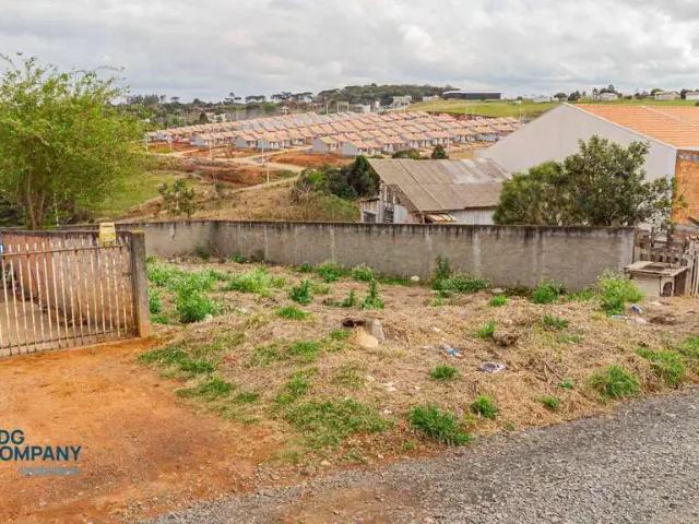 Terreno / Lote para Venda em Ponta Grossa/PR Contorno