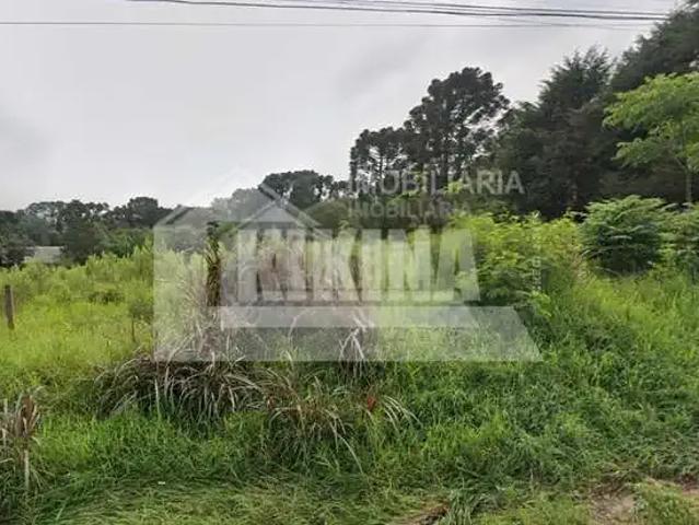 Terreno / Lote para Venda em Ponta Grossa/PR Contorno
