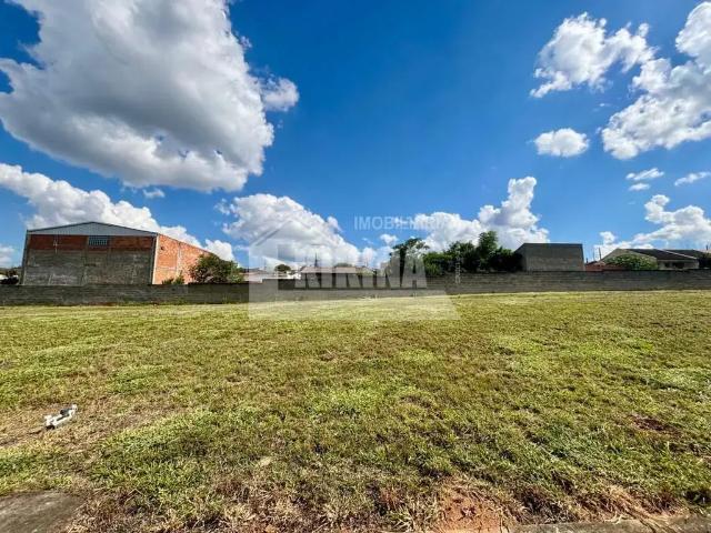 Terreno / Lote para Venda em Ponta Grossa/PR Contorno