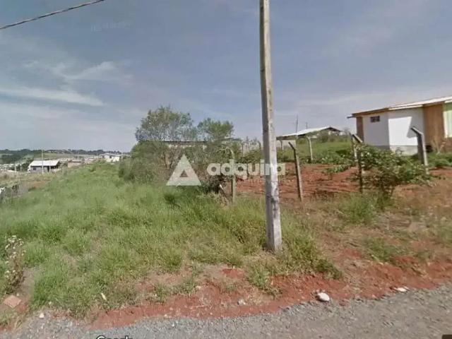 Terreno / Lote para Venda em Ponta Grossa/PR Contorno