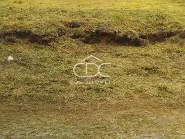 Terreno / Lote para Venda em Ponta Grossa/PR Contorno