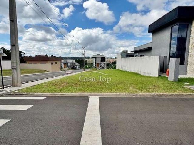 Terreno / Lote para Venda em Ponta Grossa/PR Contorno 3 Quartos
