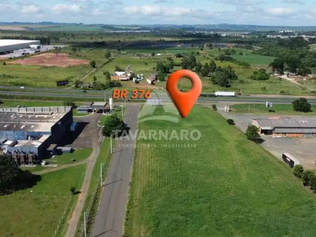 Terreno / Lote para Venda em Ponta Grossa/PR Colônia Dona LuÍza