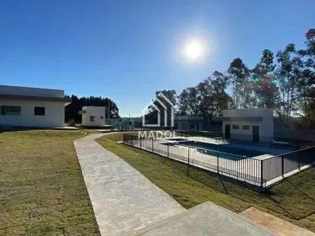 Terreno / Lote para Venda em Ponta Grossa/PR Colônia Dona LuÍza