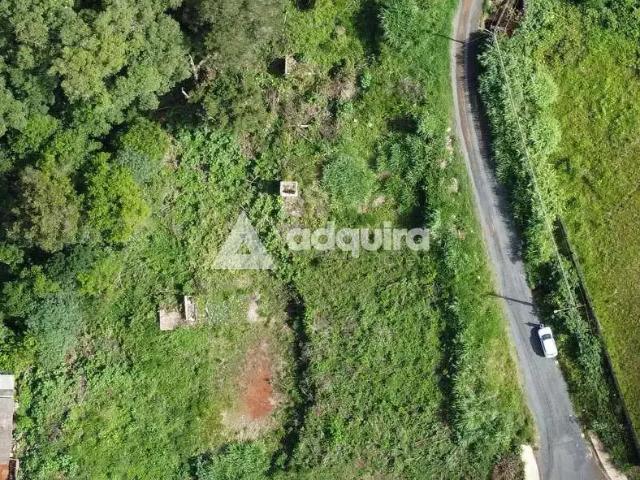 Terreno / Lote para Venda em Ponta Grossa/PR Colônia Dona LuÍza