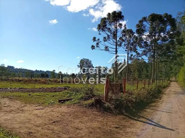 Terreno / Lote para Venda em Ponta Grossa/PR Colônia Dona LuÍza
