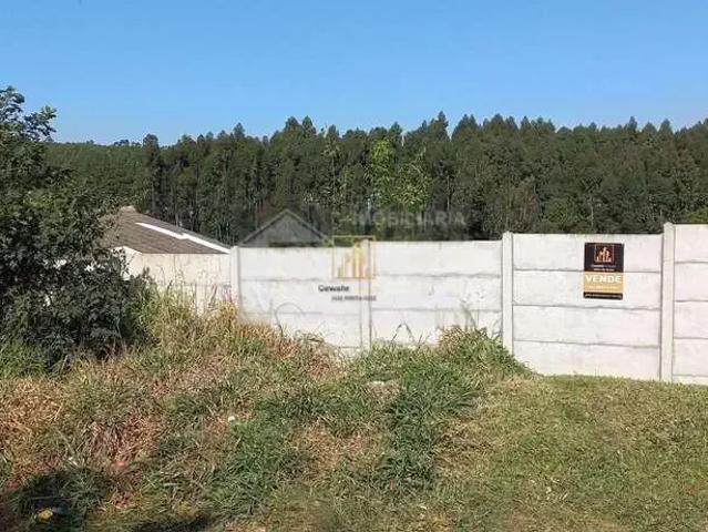 Terreno / Lote para Venda em Ponta Grossa/PR Colônia Dona LuÍza