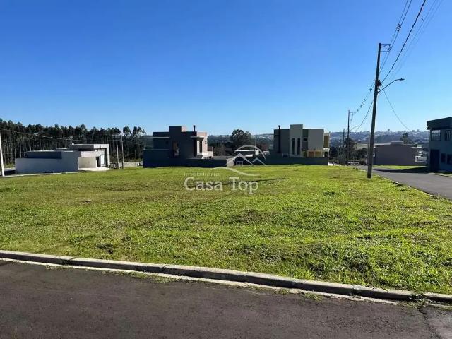Terreno / Lote para Venda em Ponta Grossa/PR Colônia Dona LuÍza