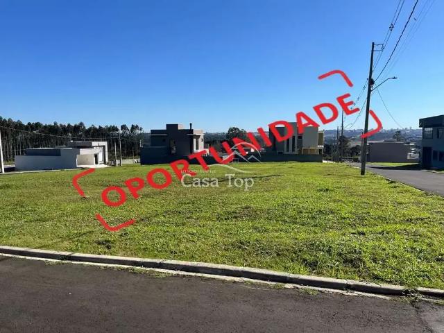 Terreno / Lote para Venda em Ponta Grossa/PR Colônia Dona LuÍza