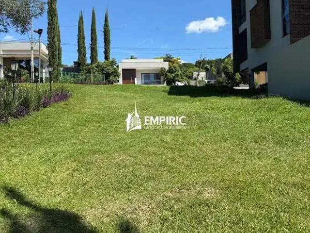 Terreno / Lote para Venda em Ponta Grossa/PR Colônia Dona LuÍza