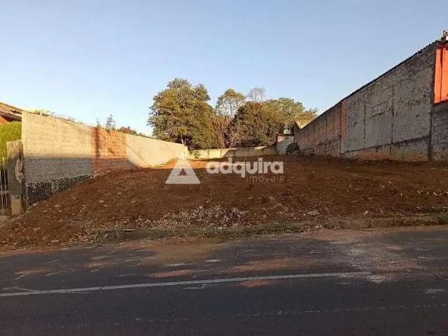 Terreno / Lote para Venda em Ponta Grossa/PR Colônia Dona LuÍza