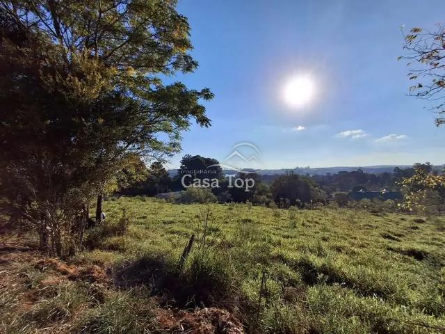 Terreno / Lote para Venda em Ponta Grossa/PR Colônia Dona LuÍza