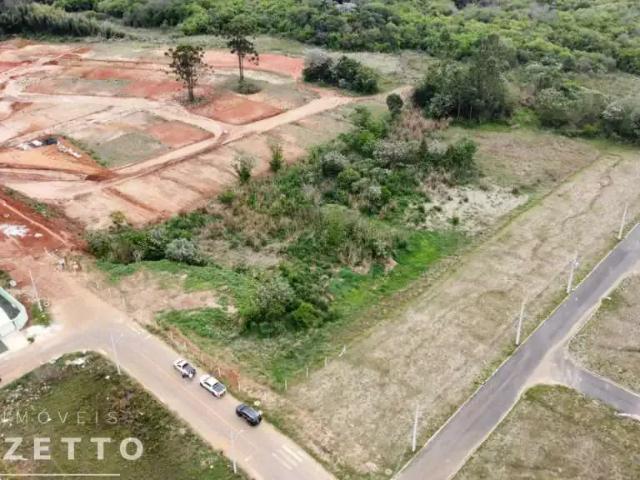 Terreno / Lote para Venda em Ponta Grossa/PR Colônia Dona LuÍza