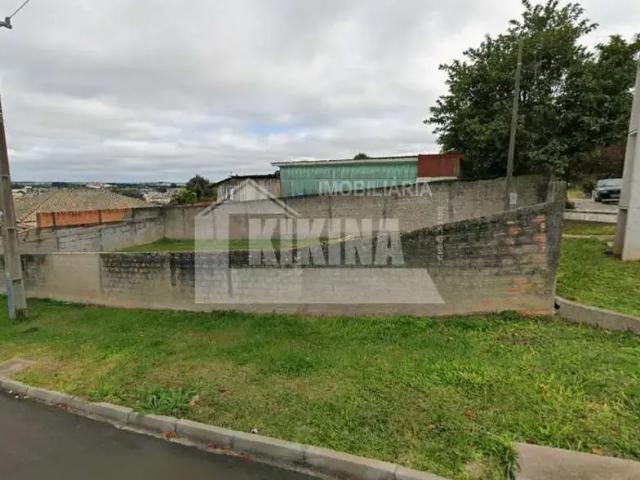 Terreno / Lote para Venda em Ponta Grossa/PR Colônia Dona LuÍza
