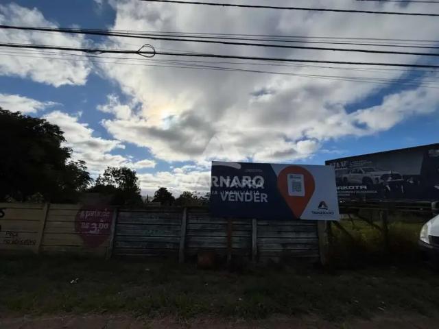 Terreno / Lote para Venda em Ponta Grossa/PR Colônia Dona LuÍza