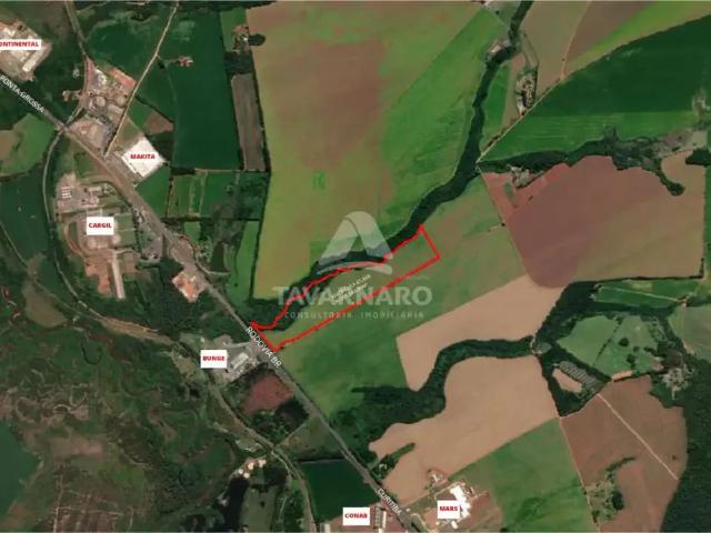 Terreno / Lote para Venda em Ponta Grossa/PR Colônia Dona LuÍza