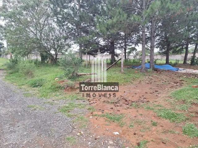 Terreno / Lote para Venda em Ponta Grossa/PR Colônia Dona LuÍza