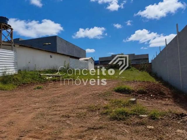 Terreno / Lote para Venda em Ponta Grossa/PR Colônia Dona LuÍza