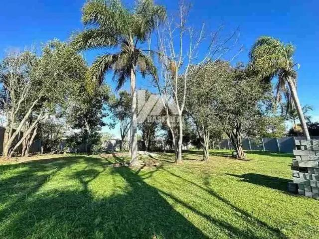 Terreno / Lote para Venda em Ponta Grossa/PR Colônia Dona LuÍza