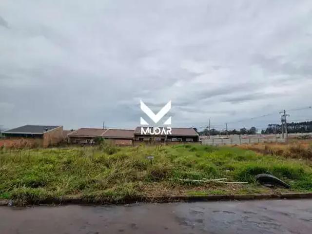 Terreno / Lote para Venda em Ponta Grossa/PR Colônia Dona LuÍza