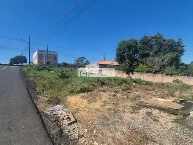 Terreno / Lote para Venda em Ponta Grossa/PR Colônia Dona LuÍza