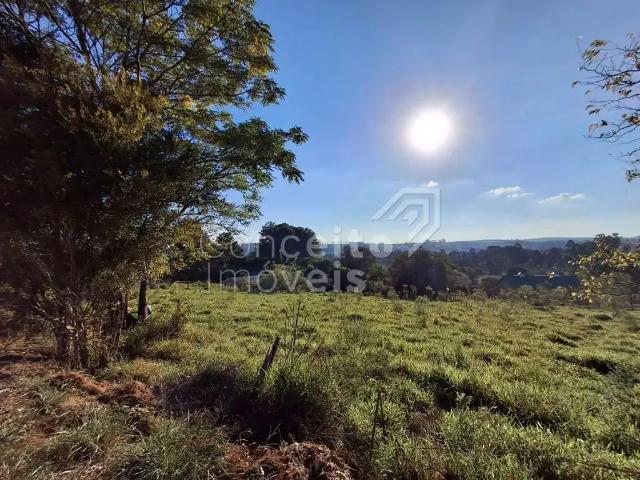 Terreno / Lote para Venda em Ponta Grossa/PR Colônia Dona LuÍza