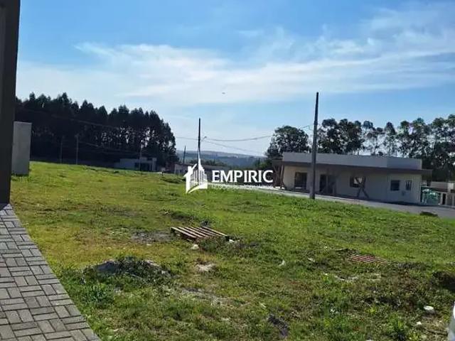 Terreno / Lote para Venda em Ponta Grossa/PR Colônia Dona LuÍza