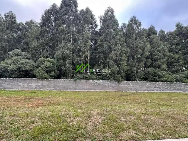 Terreno / Lote para Venda em Ponta Grossa/PR Colônia Dona LuÍza