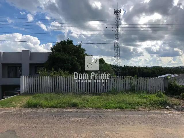 Terreno / Lote para Venda em Ponta Grossa/PR Colônia Dona LuÍza