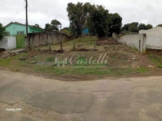 Terreno / Lote para Venda em Ponta Grossa/PR Colônia Dona LuÍza