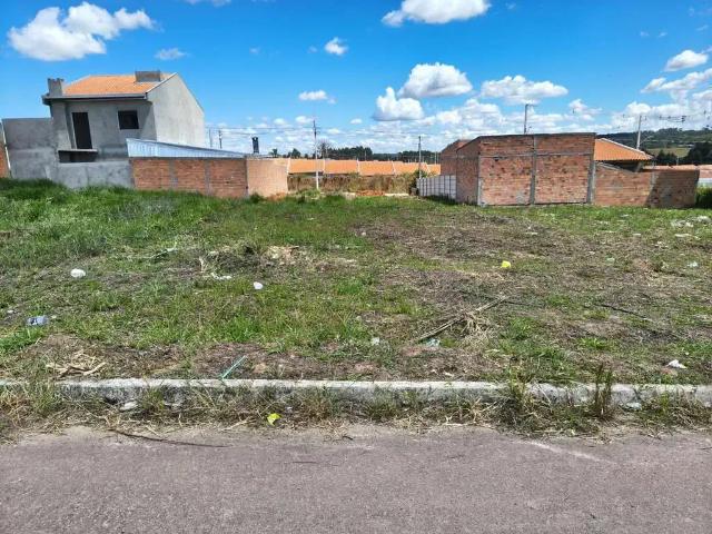Terreno / Lote para Venda em Ponta Grossa/PR Colônia Dona LuÍza