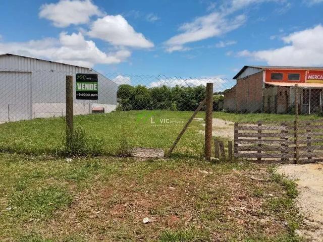 Terreno / Lote para Venda em Ponta Grossa/PR Colônia Dona LuÍza