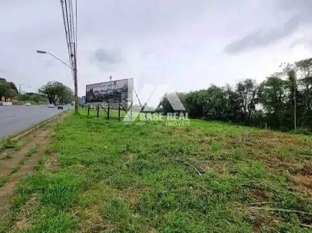 Terreno / Lote para Venda em Ponta Grossa/PR Colônia Dona LuÍza