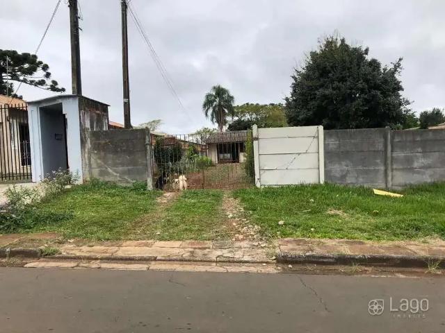 Terreno / Lote para Venda em Ponta Grossa/PR Colônia Dona LuÍza