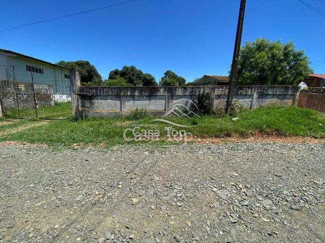 Terreno / Lote para Venda em Ponta Grossa/PR Colônia Dona LuÍza