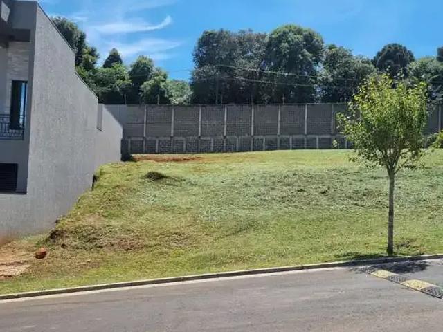 Terreno / Lote para Venda em Ponta Grossa/PR Colônia Dona LuÍza