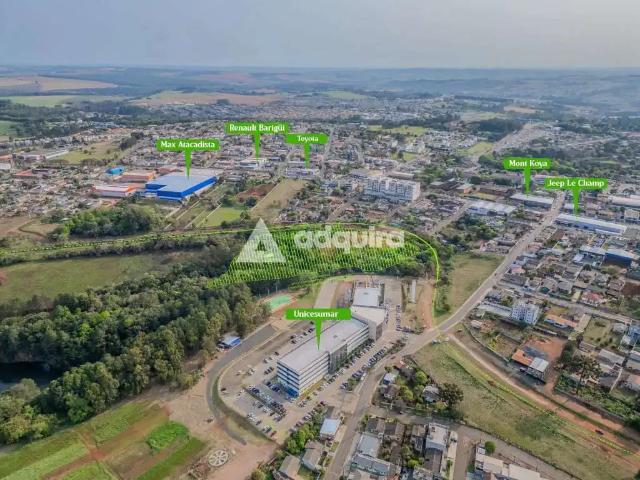 Terreno / Lote para Venda em Ponta Grossa/PR Colônia Dona LuÍza