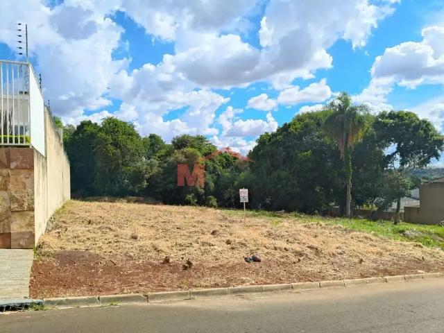 Terreno / Lote para Venda em Ponta Grossa/PR Estrela