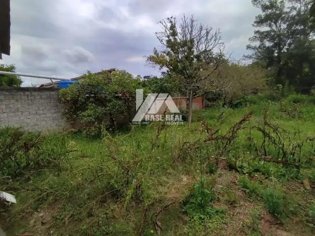 Terreno / Lote para Venda em Ponta Grossa/PR Estrela