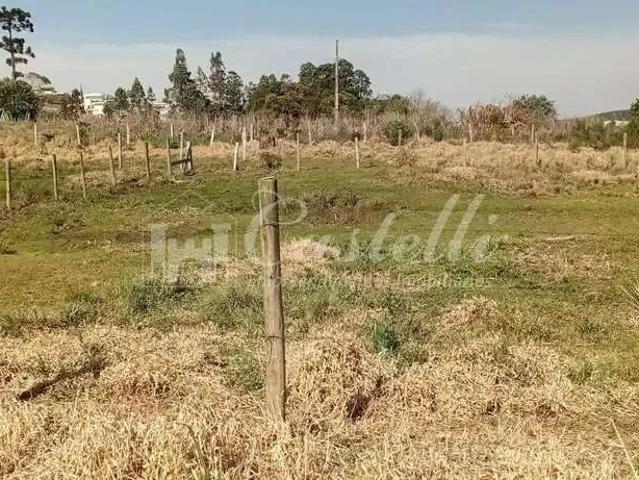 Terreno / Lote para Venda em Ponta Grossa/PR Estrela