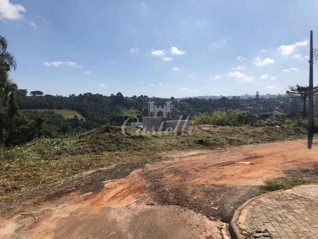 Terreno / Lote para Venda em Ponta Grossa/PR Estrela