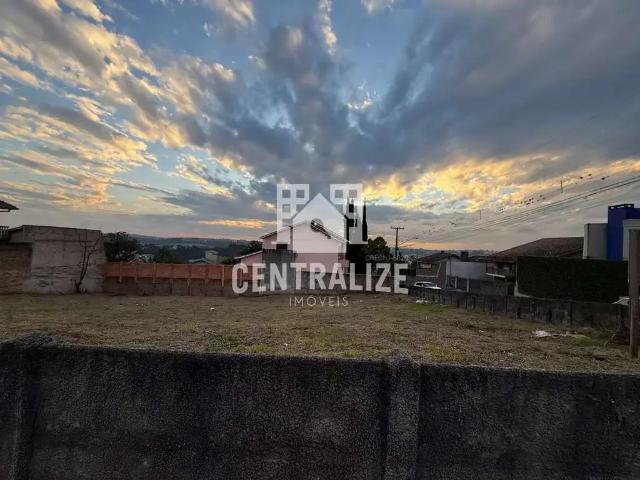 Terreno / Lote para Venda em Ponta Grossa/PR Estrela