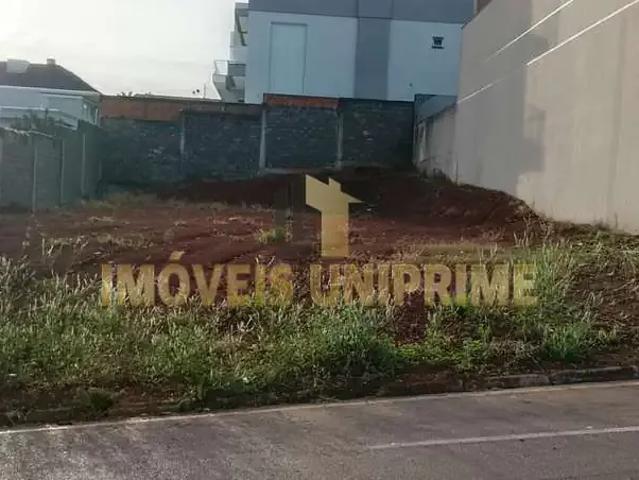 Terreno / Lote para Venda em Ponta Grossa/PR Estrela